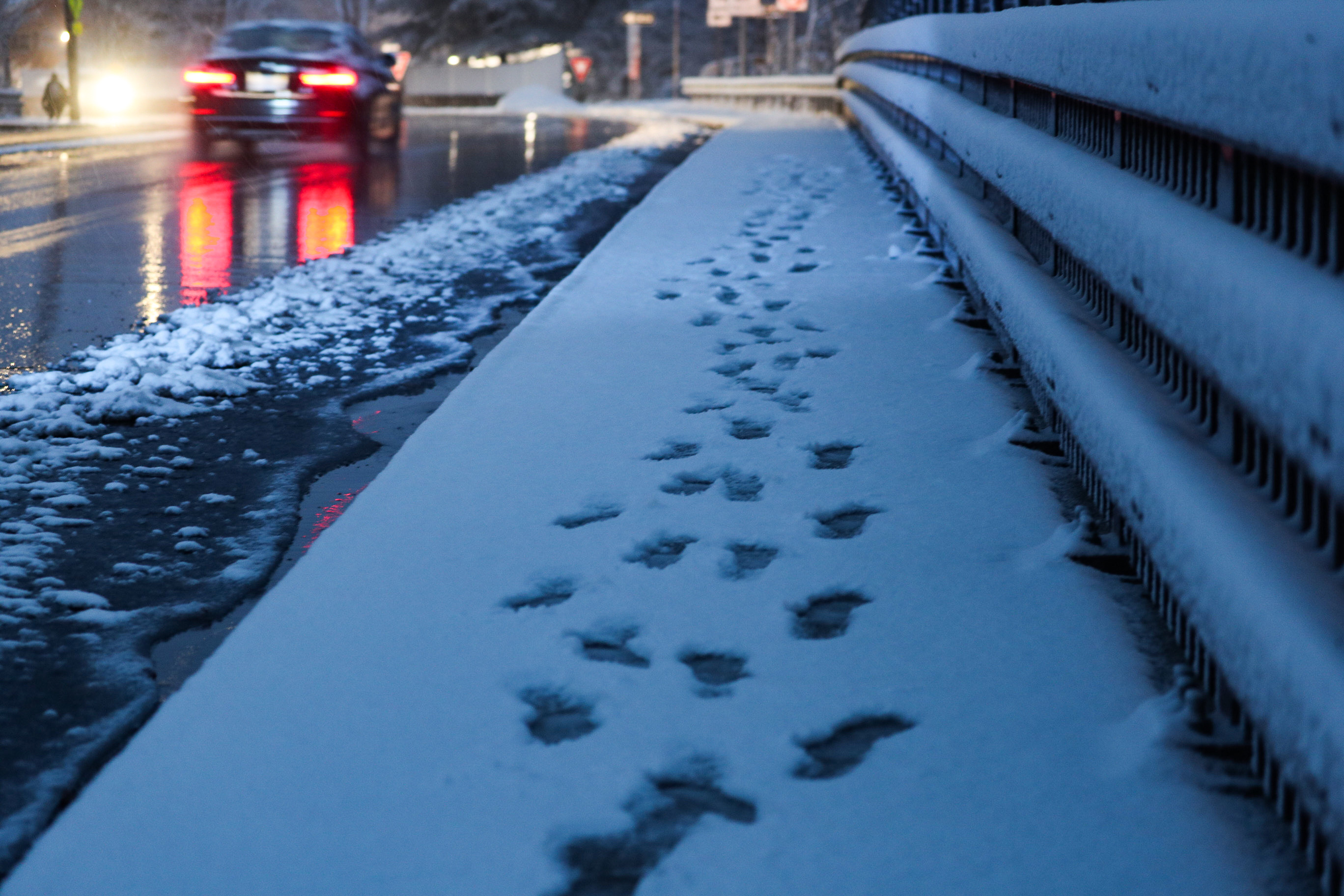 PHOTOS: A Beautiful Snowy Day in Boston – NBC Boston