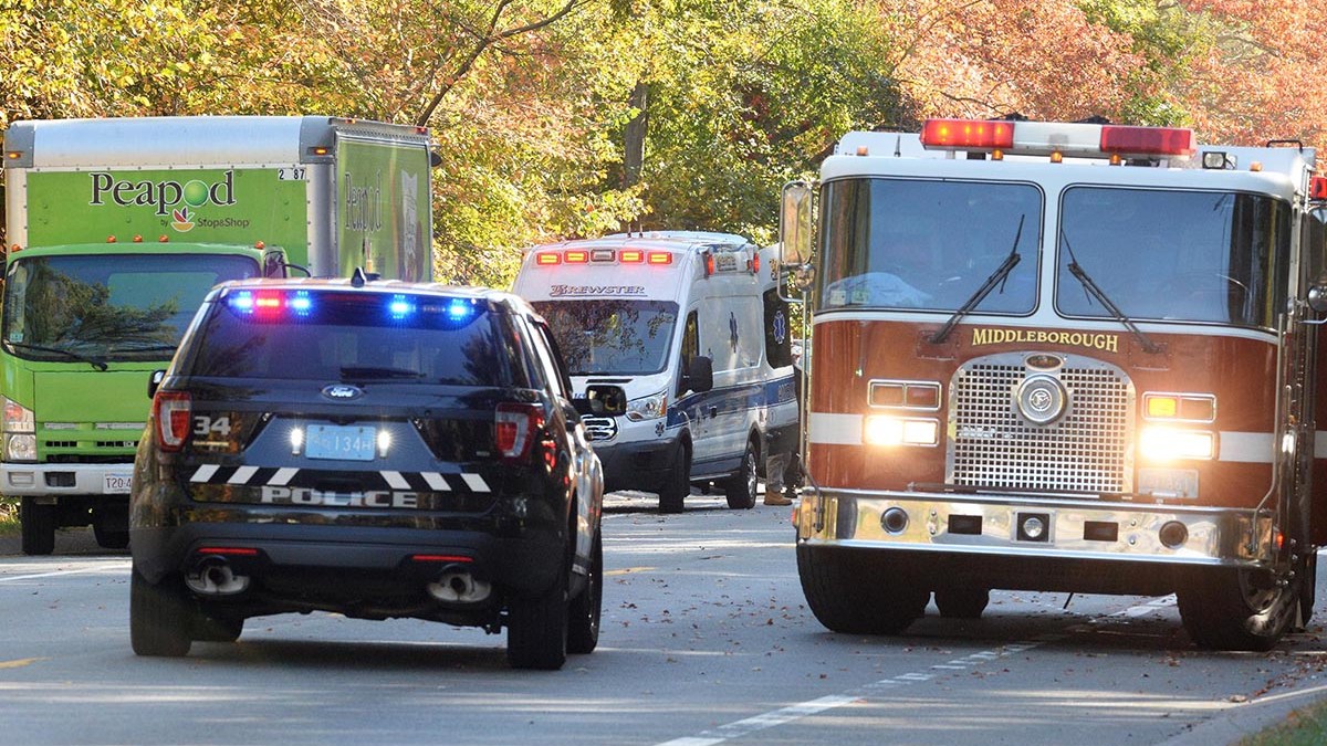 24-Year-Old Killed in Collision With Peapod Delivery Truck in ...