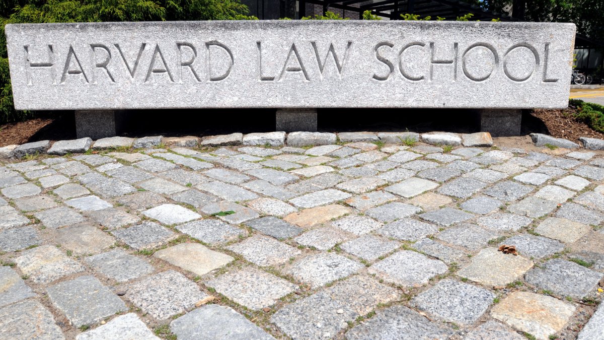 ICE arrests Harvard Law professor who fired pellet gun near Brookline ...