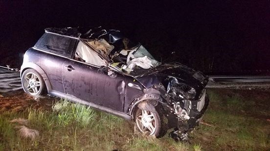 2 Injured After Car Crashes into Moose on New Hampshire Road – NBC Boston