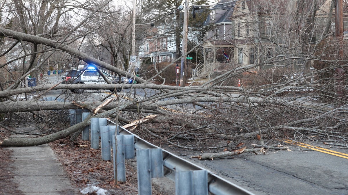 Strong Winds Bring Down Trees, Knock Out Power Across Region – NBC Boston