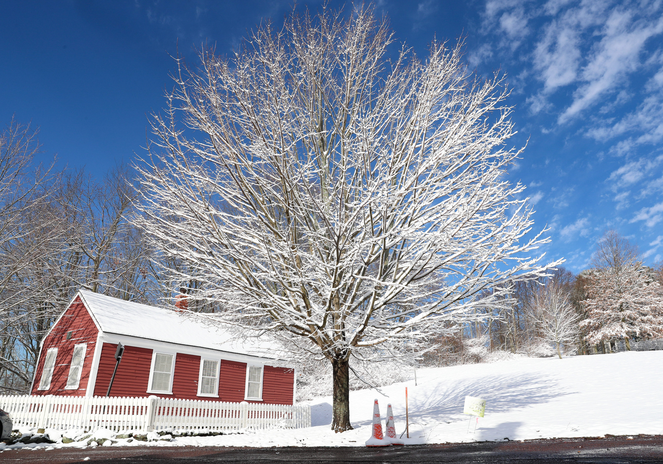 PHOTOS: A Beautiful Snowy Day in Boston – NBC Boston