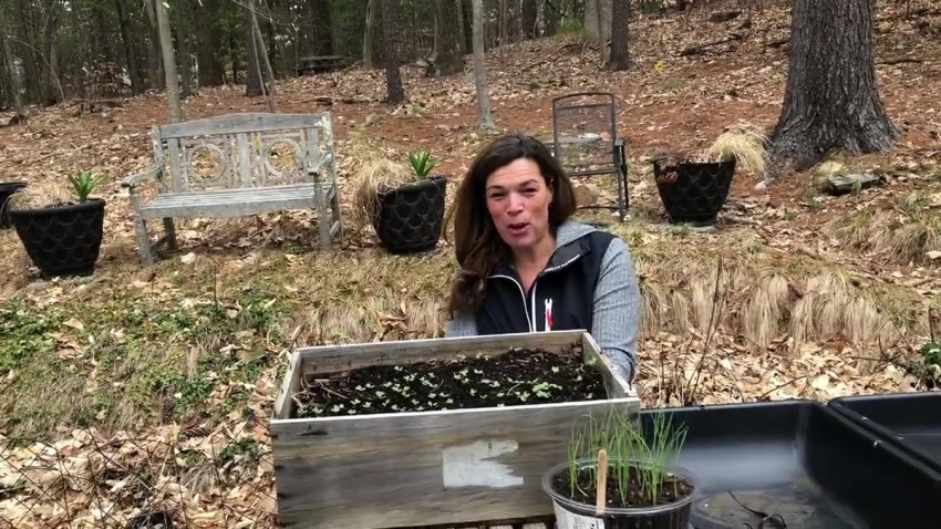 Hub Today – NBC Boston