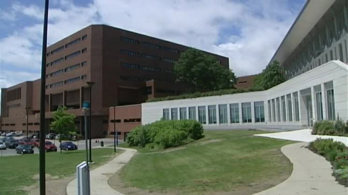UMass Boston Announces Next Chancellor – NBC Boston