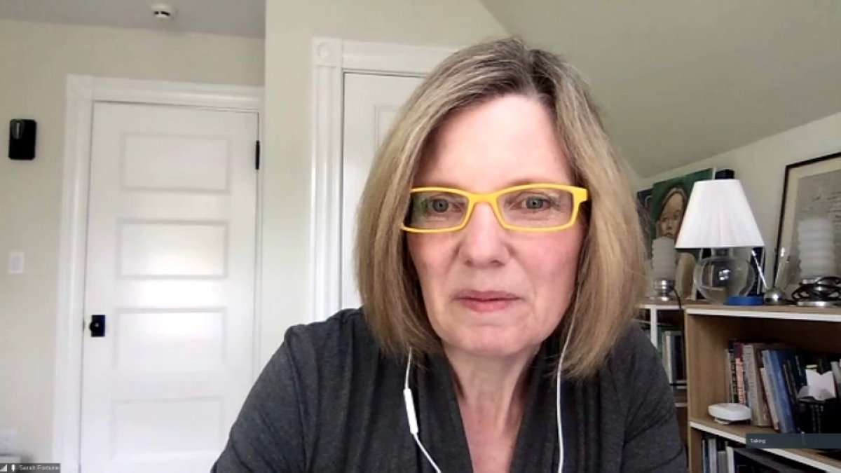 Harvard Physician Outlines Ways to Prevent COVID-19 Amid Reopening ...