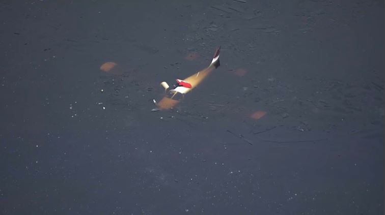Small Plane Crashes Into Icy Mass. Lake, Pilot Rescued by Canoe – NBC ...