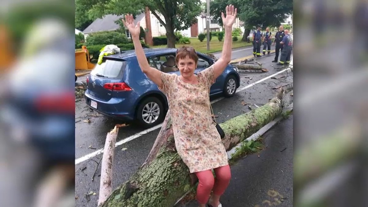 Woman Unscathed When Branch Crashes Through Windshield – NBC Boston