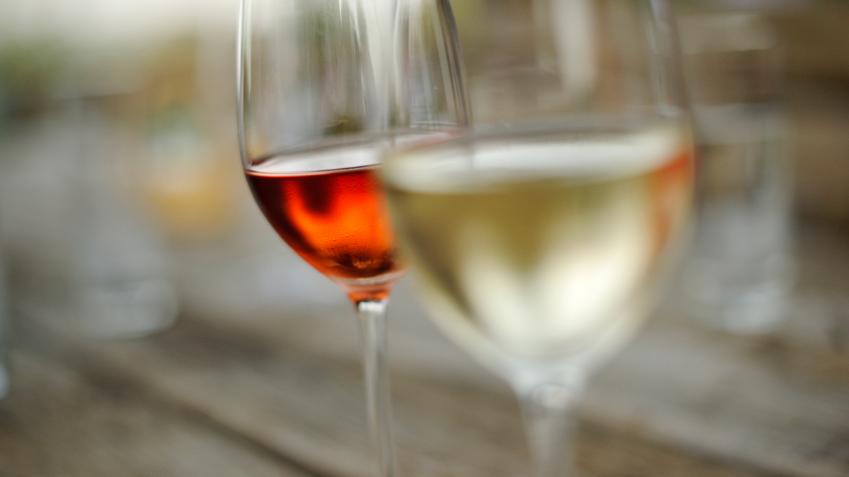 The Salt Marsh Winery to open in Scituate – NBC Boston