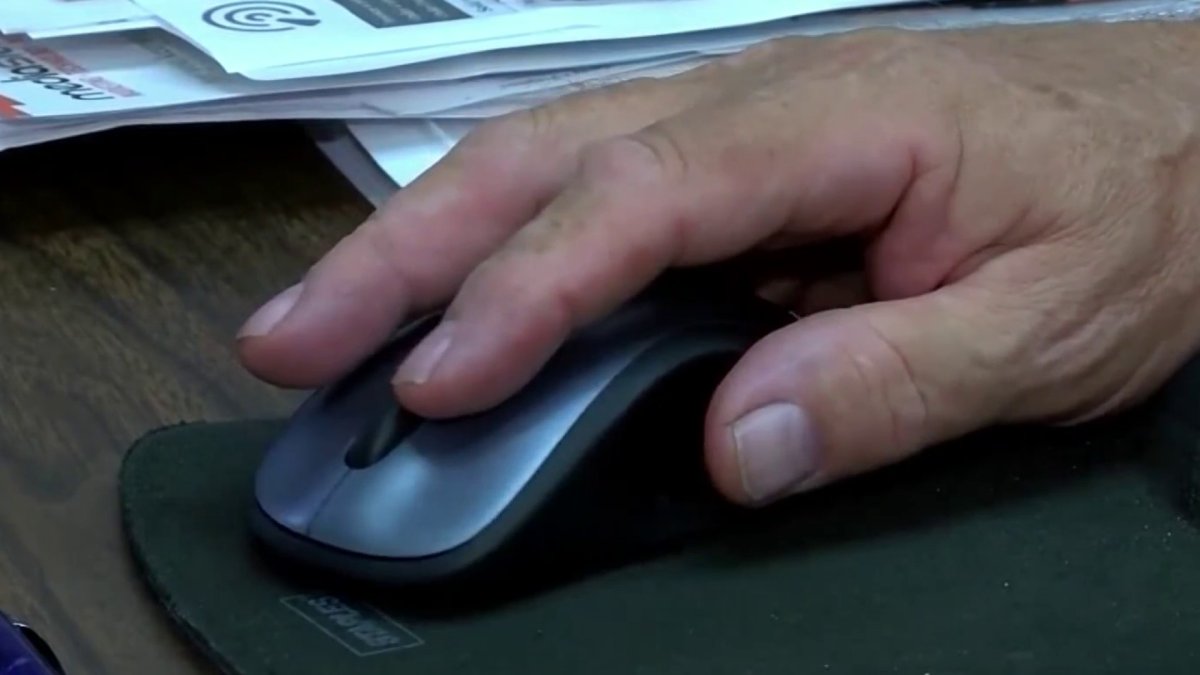 Online Scammers Are Targeting Potential NH Pet Owners, AG Says – NBC Boston Online Scammers Are Targeting Potential NH Pet Owners, AG Says – NBC Boston