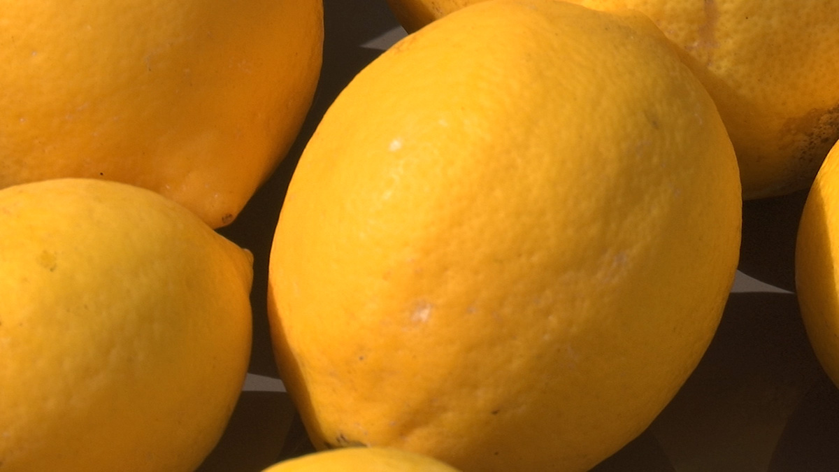 Massachusetts lemon law protections: How it works – NBC Boston