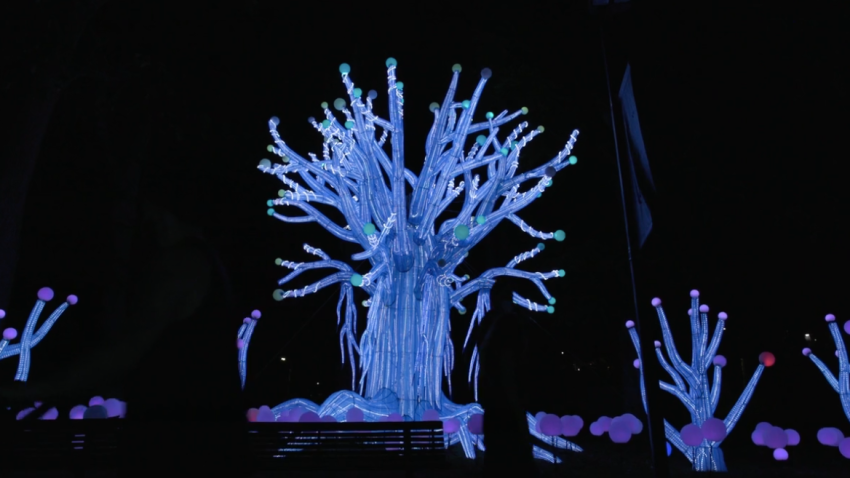 Hub Today – NBC Boston