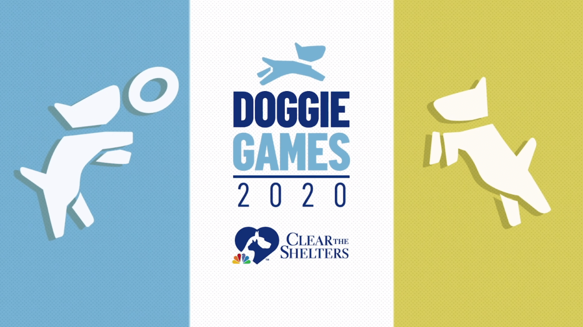 Lovable Pups Participate in the Doggie Games on NBC10 Boston: WATCH ...
