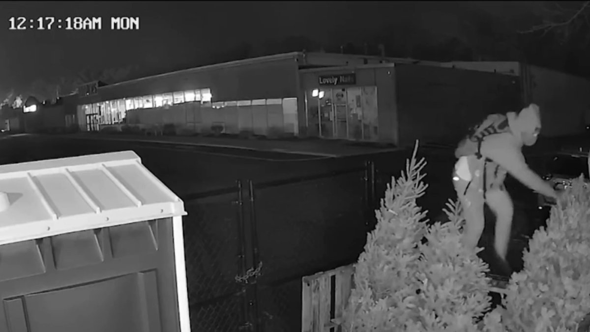 Man Wanted for Stealing Trees and Wreaths From Store – NBC Boston