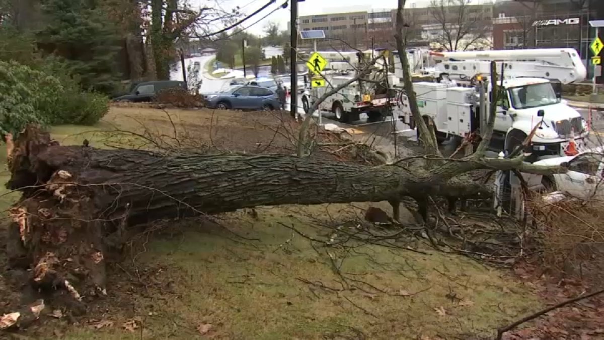 Christmas Storm Causes Damage, Power Outages Across Mass. – NBC Boston