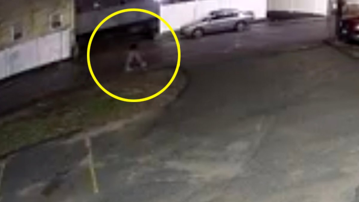 Arrest Made in ‘Traumatic’ Waltham Random Attacks – NBC Boston