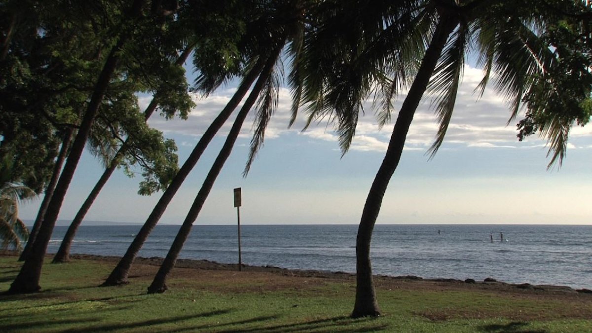 Boston Public Health Commission Medical Director Working Remotely in ...