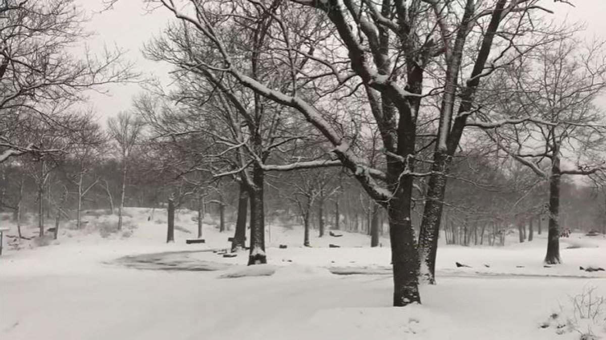 Light Snow Showers Continue Before Pulling Away Overnight – NBC Boston