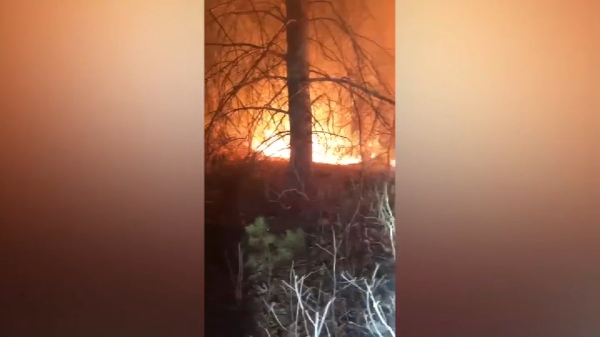 Abington Brush Fire: 30 Acres Scorched Saturday – NBC Boston