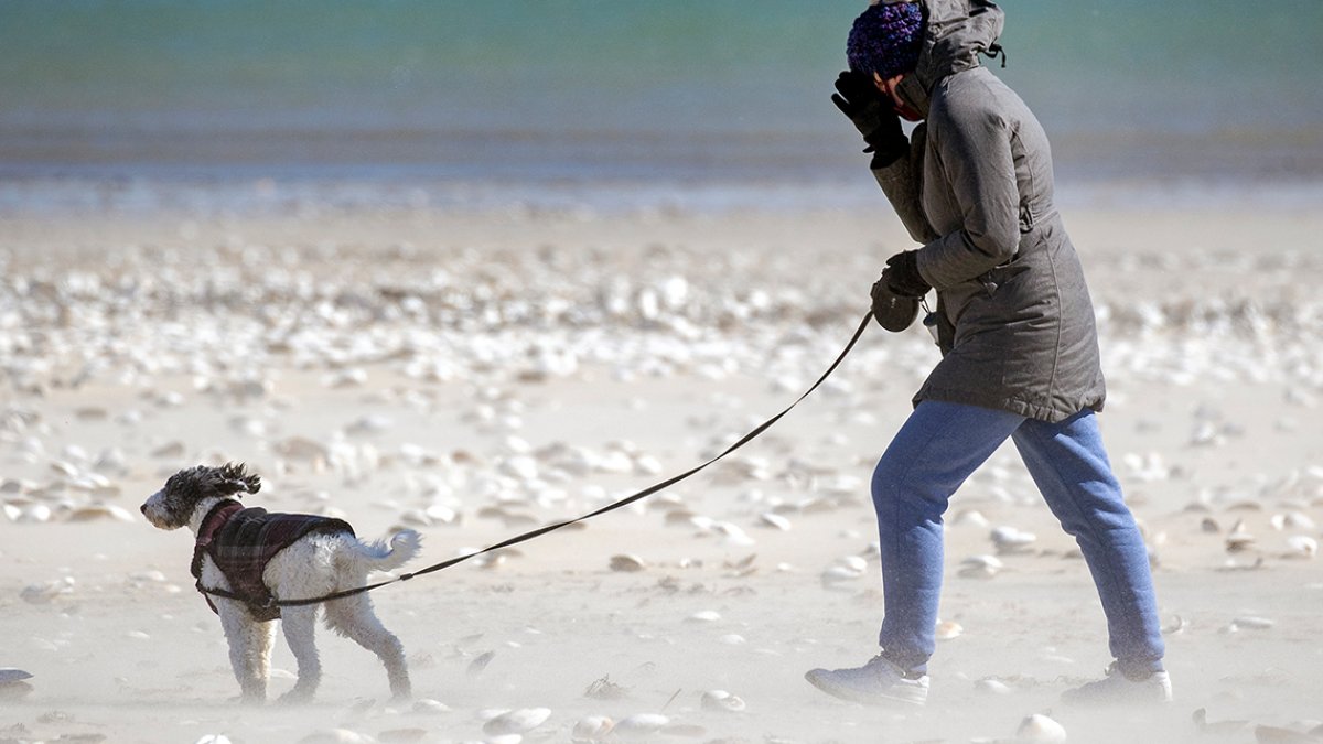 PHOTOS: Boston Residents Brave Bitter Cold Snap in March – NBC Boston