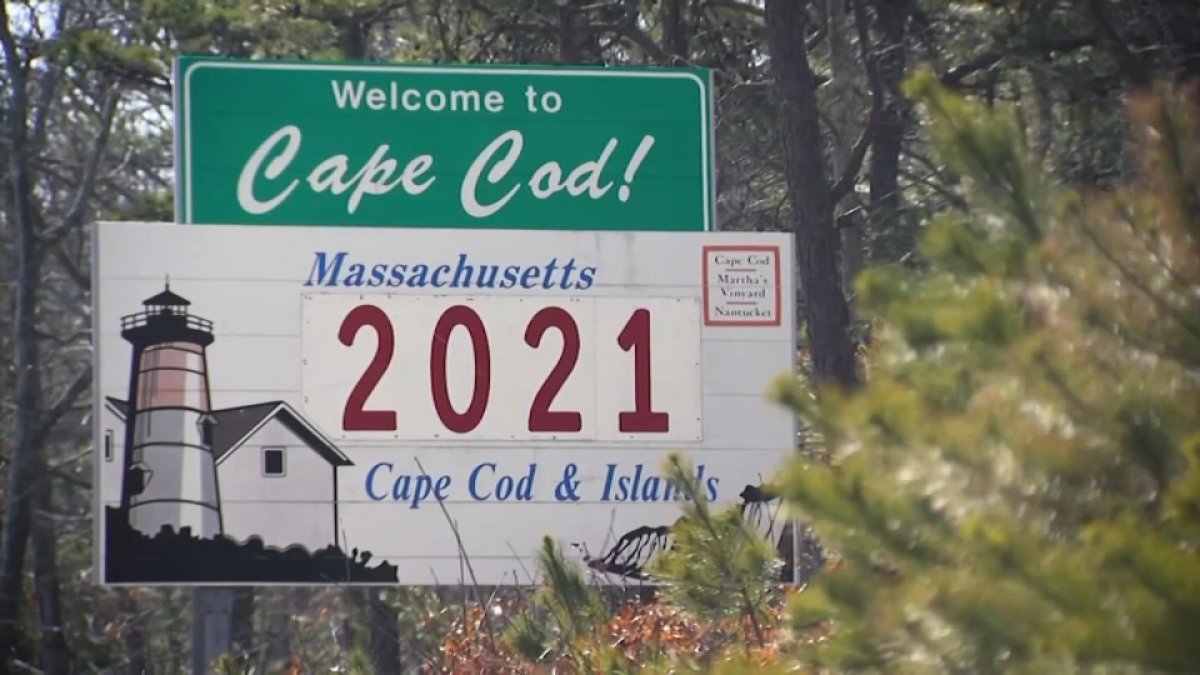 Helicopter to Distribute Rabies Vaccines Over Cape Cod – NBC Boston