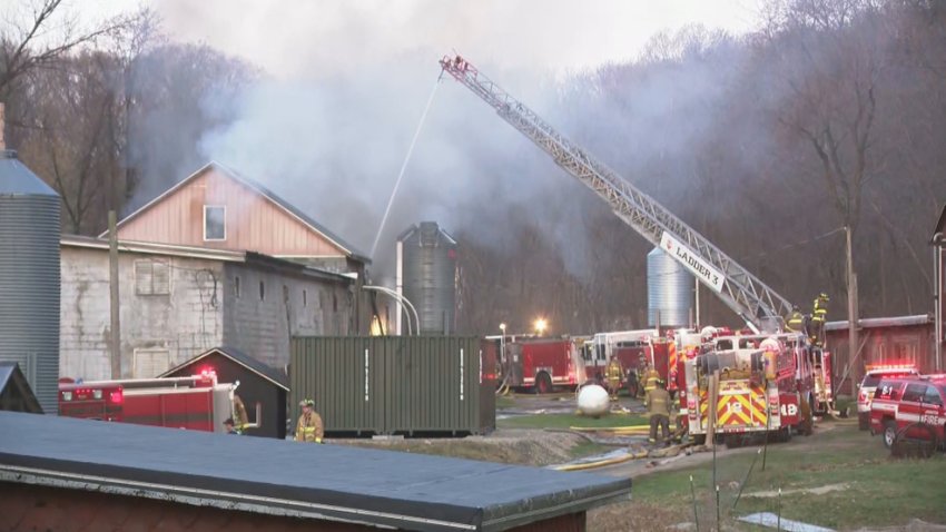 Fire at RI Poultry Farm Leaves 3,000 Chickens Dead – NBC Boston