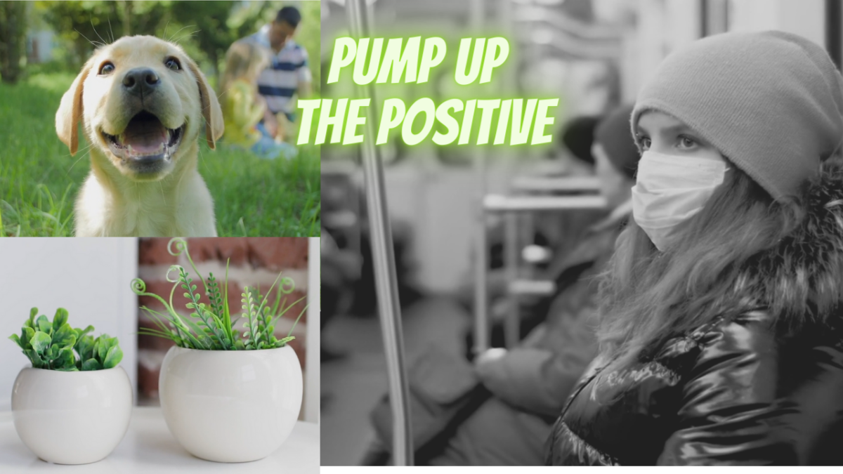 From Pessimism to Positivity: Tips to Shift Your Mindset And Spring ...
