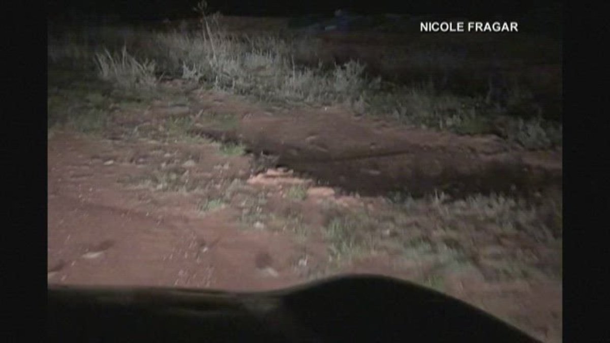 Ravenous, Destructive Mice Are Tormenting Australians – NBC Boston