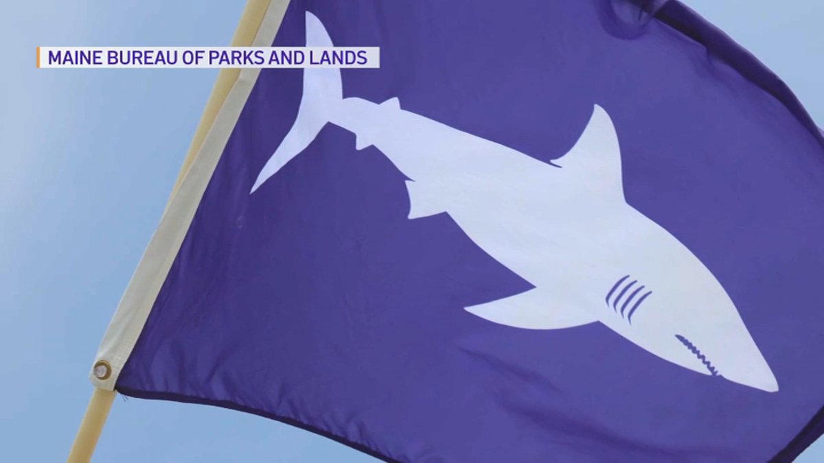 Maine to Adopt Mass. Shark Warning Flag After Fatal Attack Last Year ...