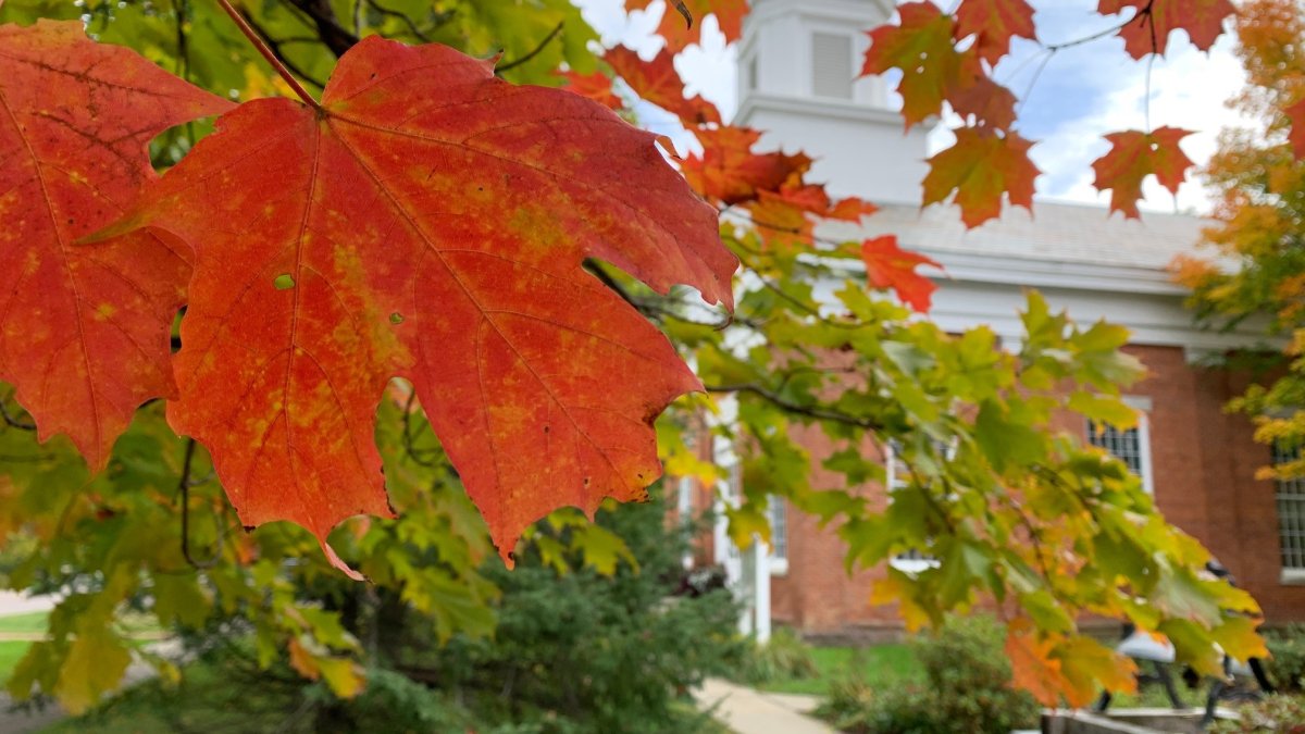 In Tourism-Dependent Vermont, Leaf-Peeping Season is Underway – NBC Boston In Tourism-Dependent Vermont, Leaf-Peeping Season is Underway – NBC Boston