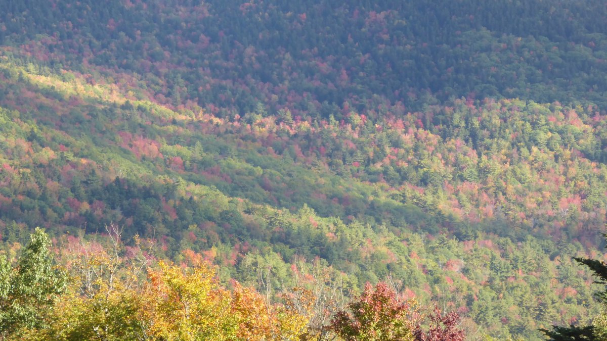 Fall Foliage Map 2021: Your Leaf-Peeping Tracker for Massachusetts, New ...