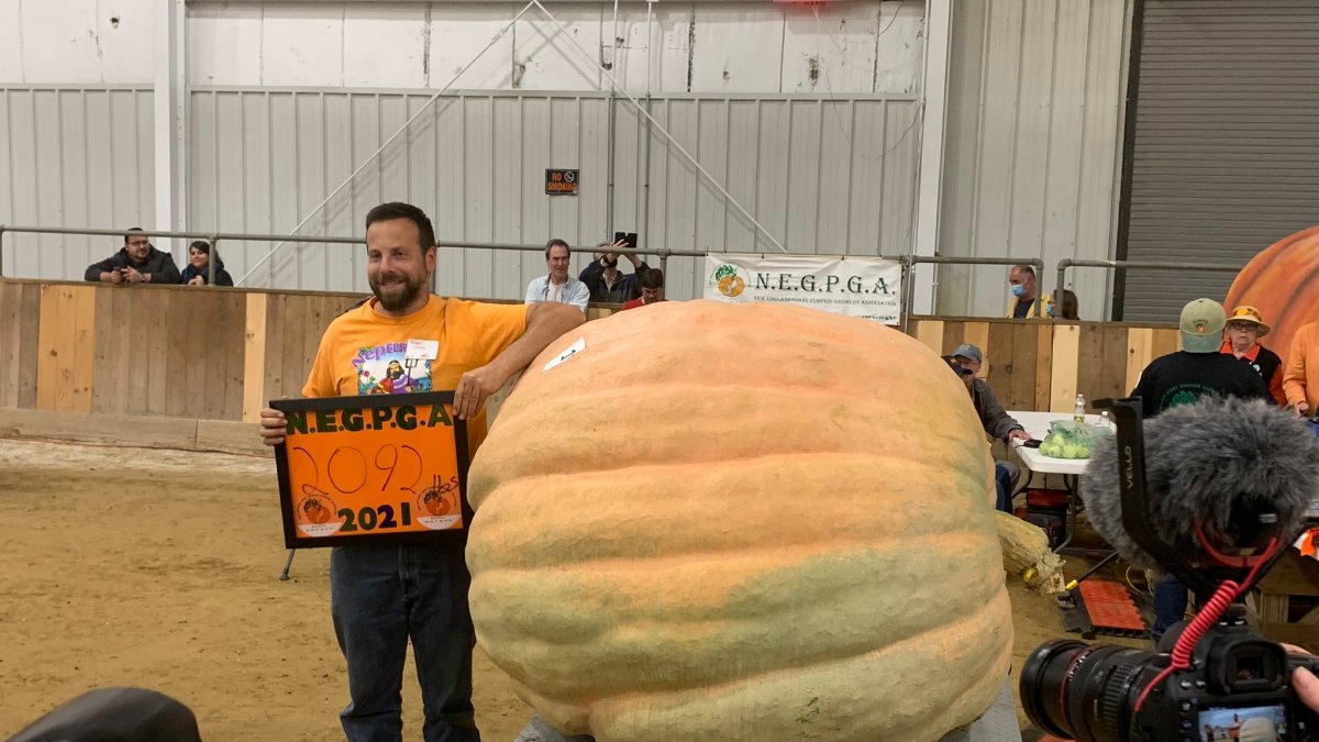 Topsfield Fair Giant Pumpkin Weigh-Off – NBC Boston
