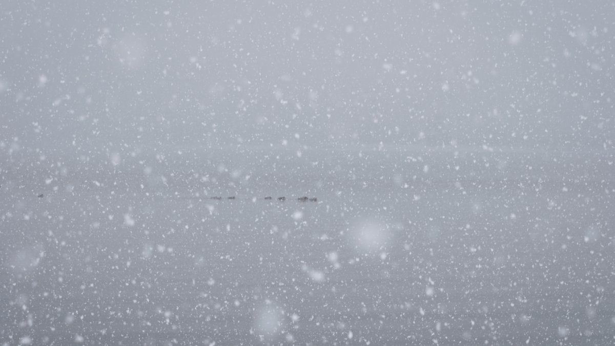 First Snow in NH, Maine, Vermont – NBC Boston