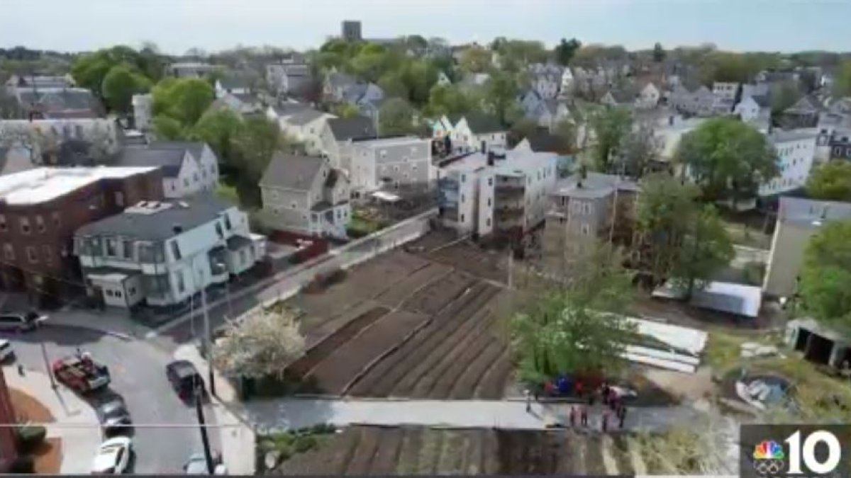 The Food Project Greenhouse – NBC Boston