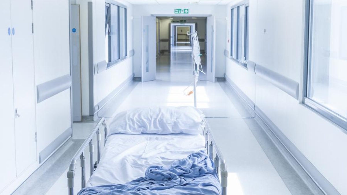 Springfield psychiatric hospital to lay off 87 ahead of shutdown – NBC ...