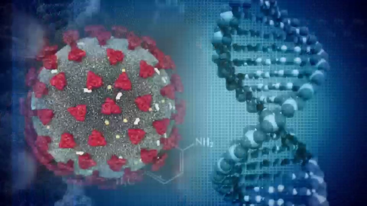 Omicron in NH: COVID-19 Variant Identified in Resident Who Traveled Out ...