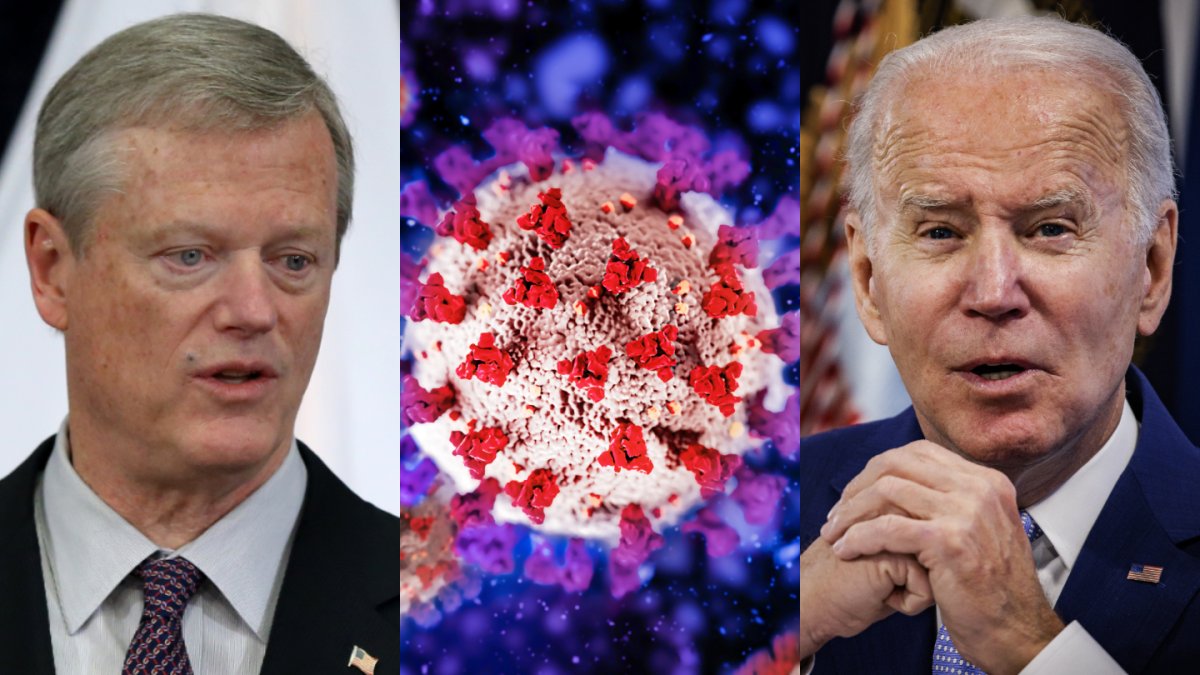 How Long Will the Omicron Wave Last? Boston Experts Weigh In – NBC Boston