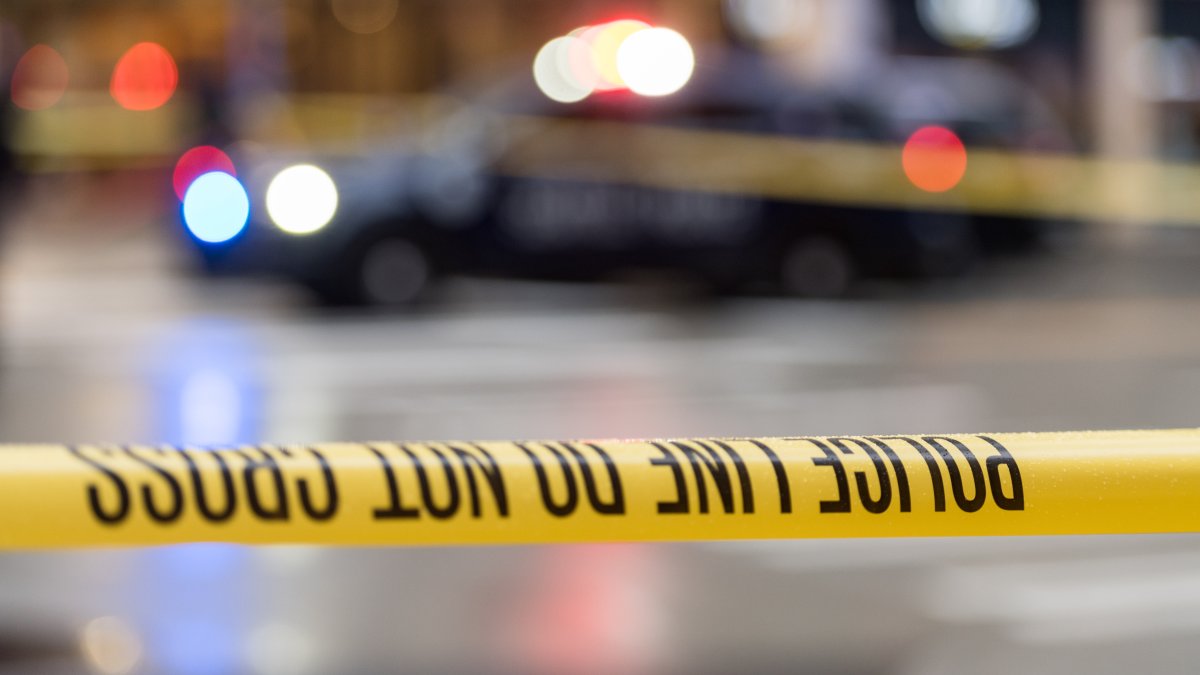Detroit couple charged in death of man mauled by their dogs – NBC Boston