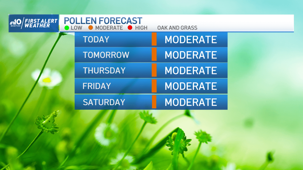 Pollen Problems: Why There’s Hope on the Horizon for Allergy Sufferers ...