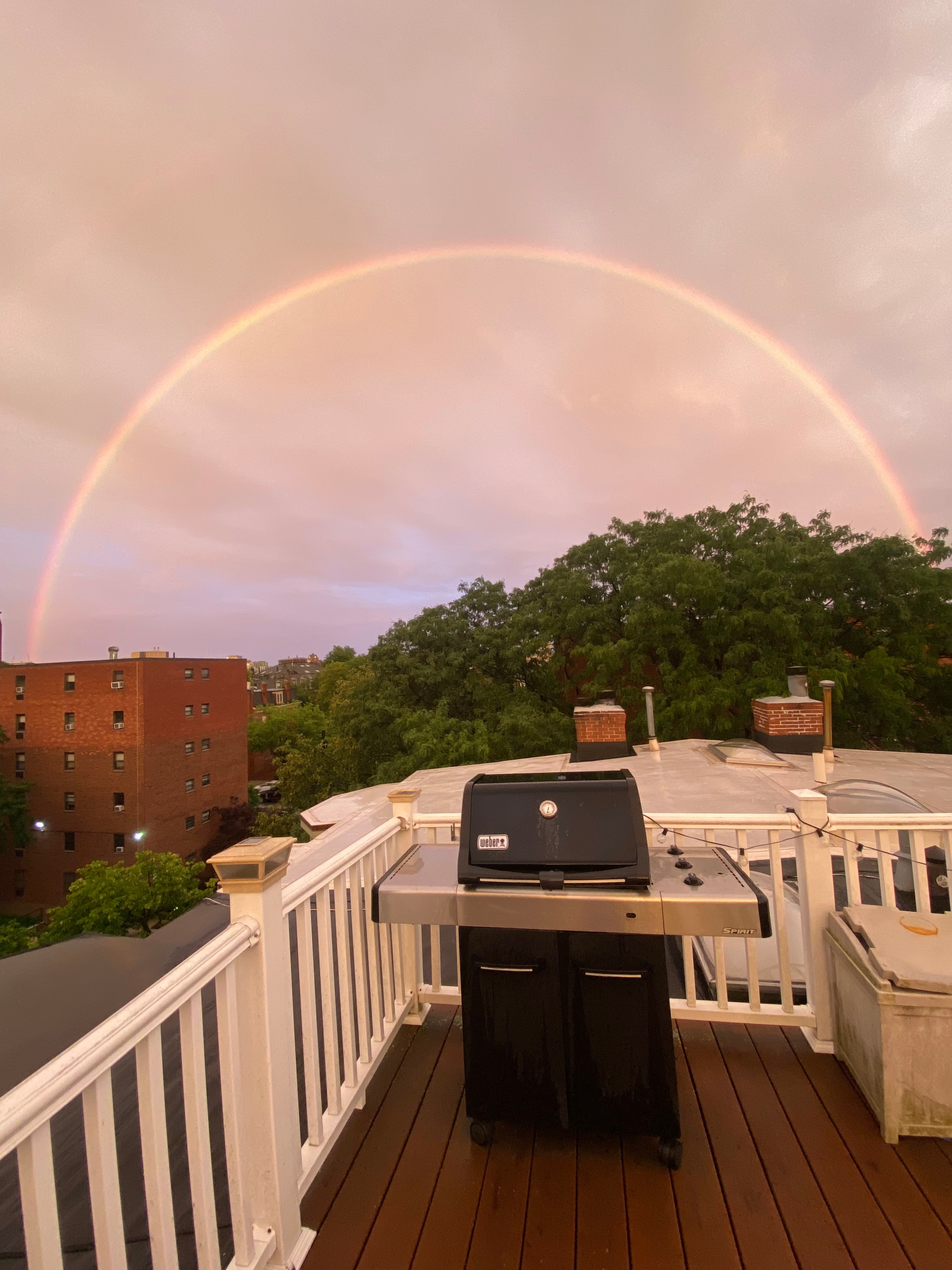 Stunning Rainbow Graces Boston’s Skyline – NBC Boston