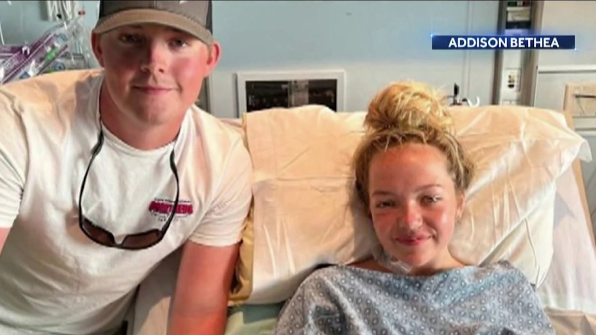 Incredible Stories From Shark Attack Survivors – NBC Boston