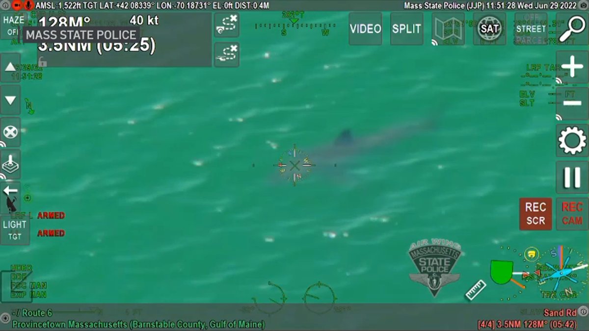 Cape Cod Shark Sighting Video – NBC Boston