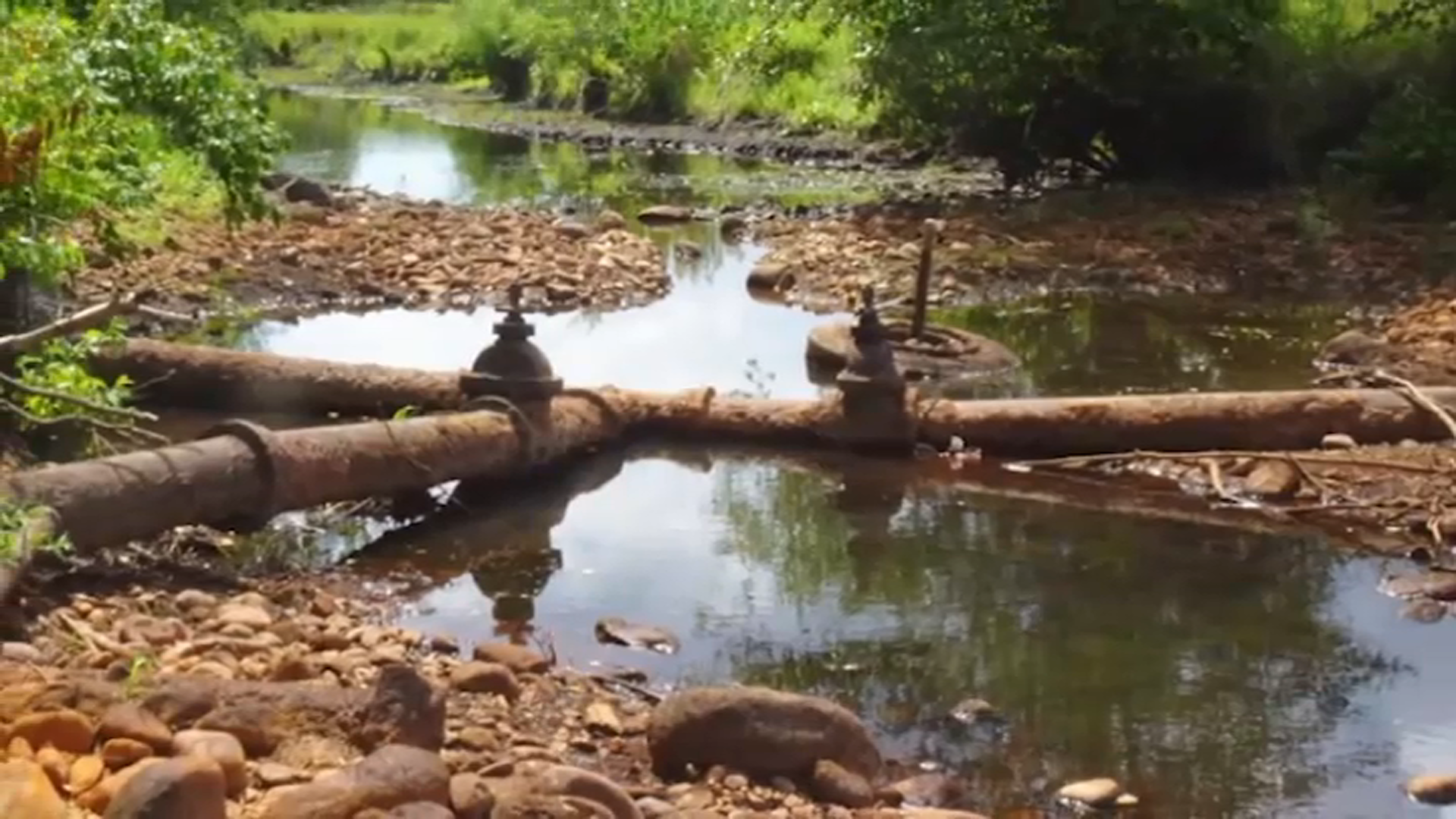 Mass. Drought Has Rivers, Streams at Record Lows – NBC Boston