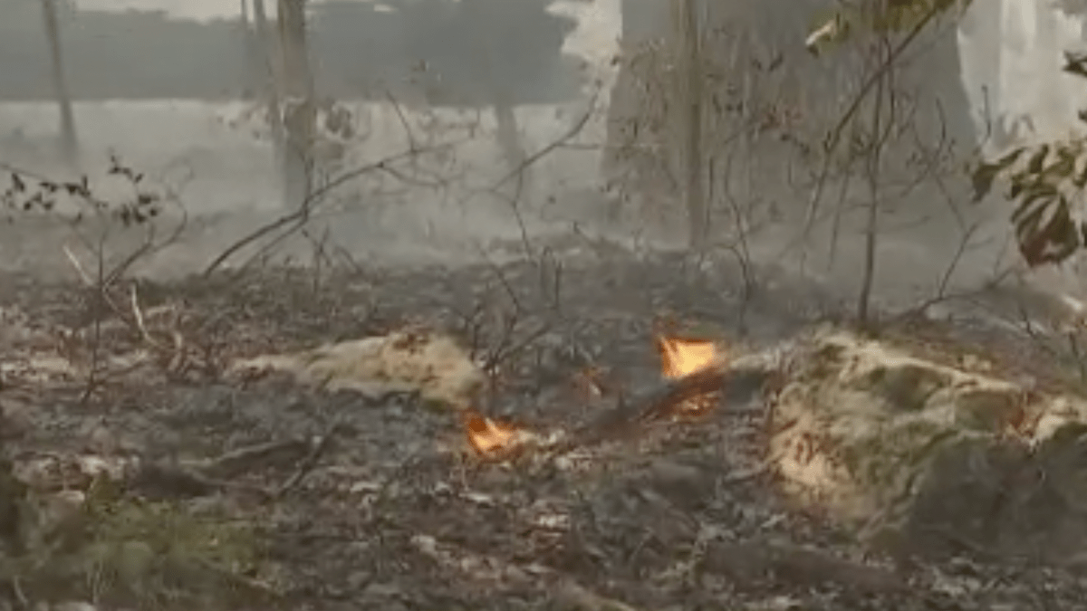 Multiple Mass. Brush Fires Send Smoke Traveling Across Parts of State ...