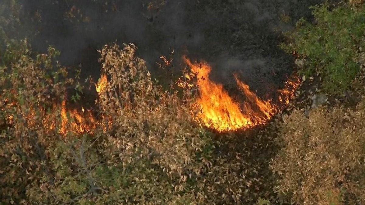 Wildfires Close Breakheart Reservation in Saugus Indefinitely – NBC Boston