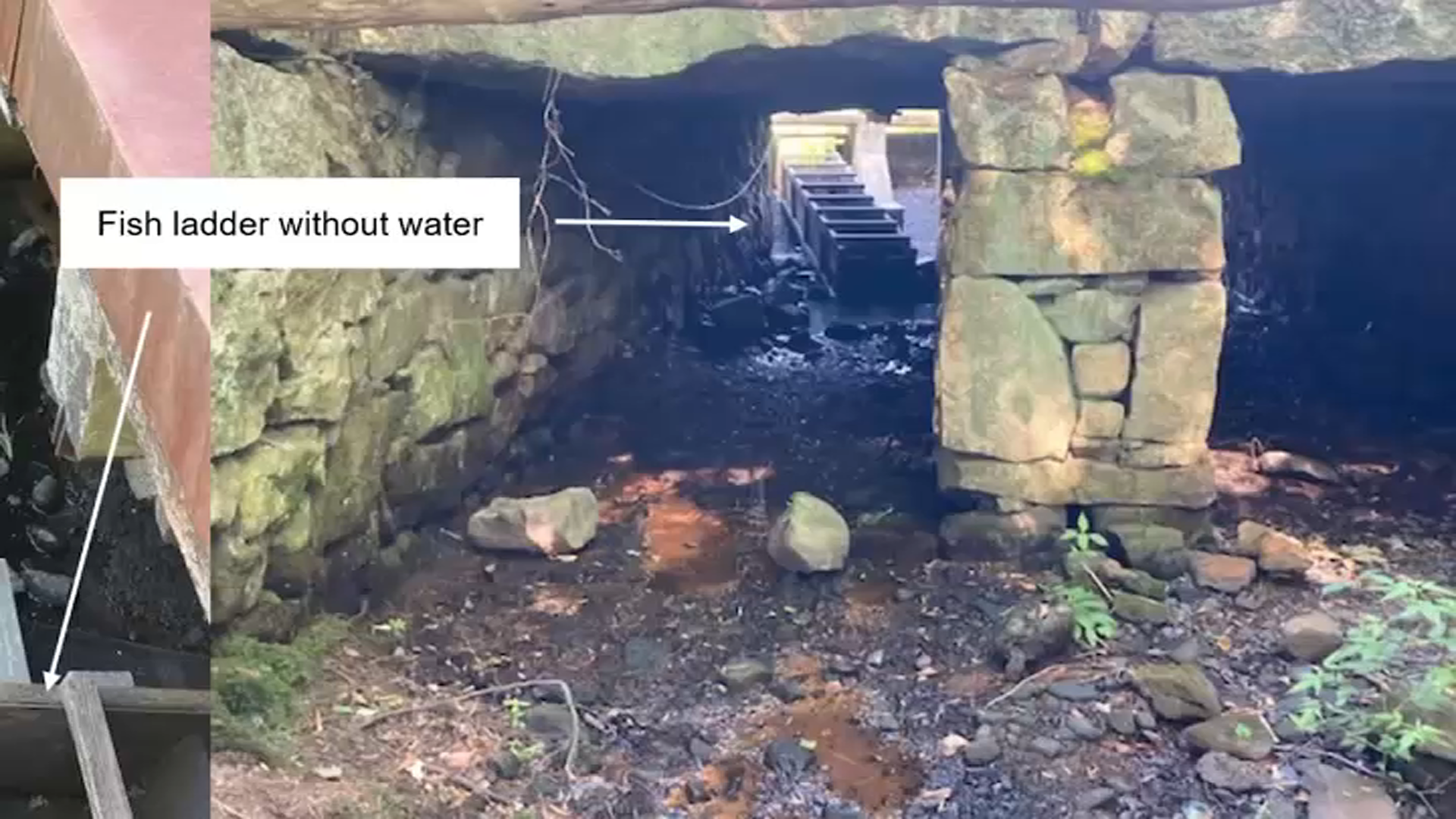 Mass. Drought Has Rivers, Streams at Record Lows – NBC Boston