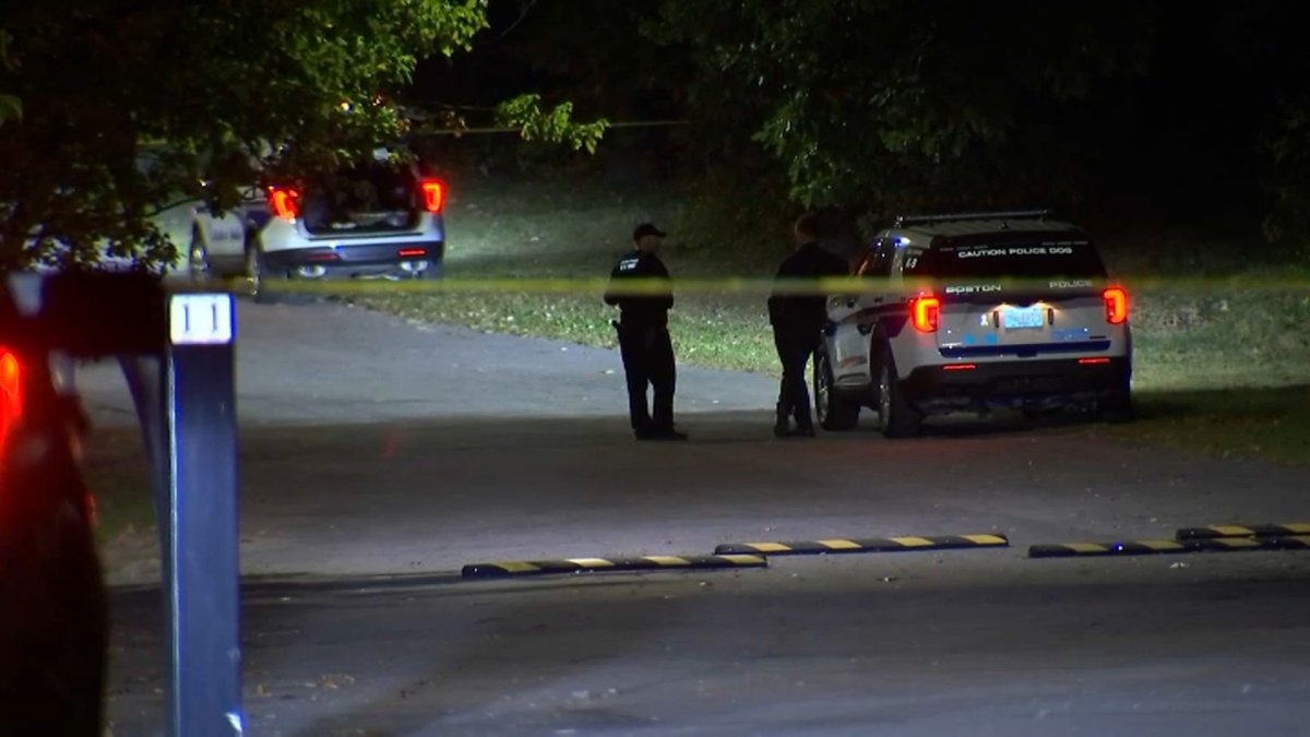 Boston Police Investigate Franklin Park Stabbing – NBC Boston