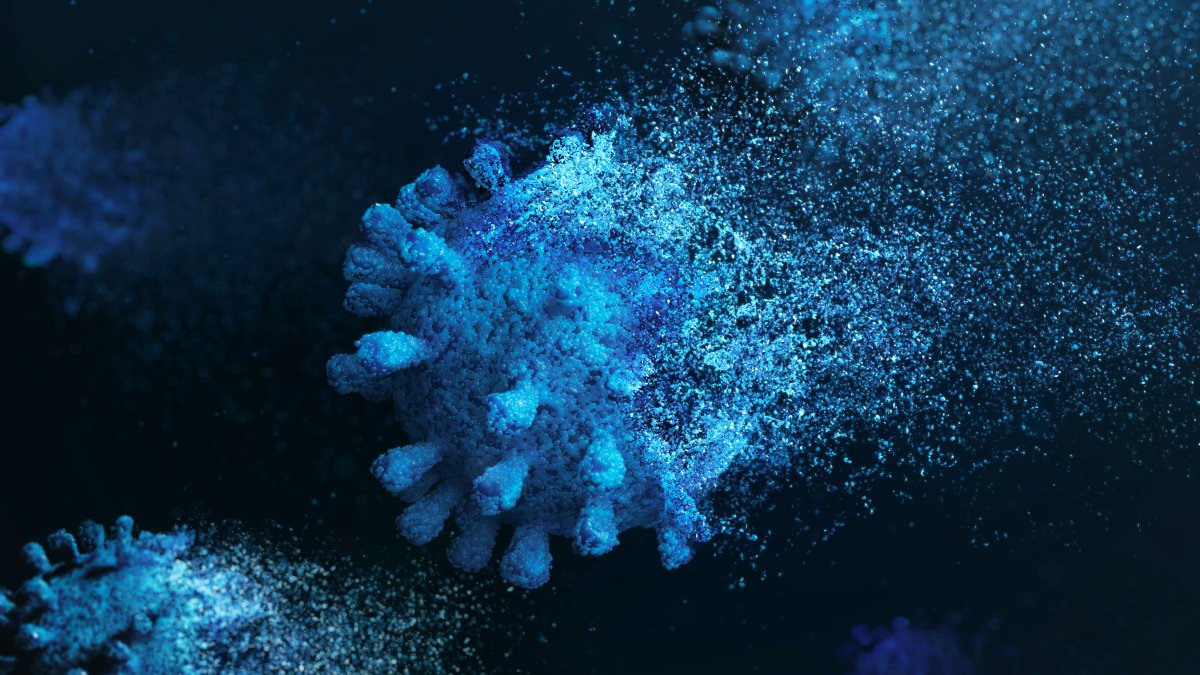 Massachusetts COVID Surge? Risk Rising Across the State, CDC Says – NBC ...