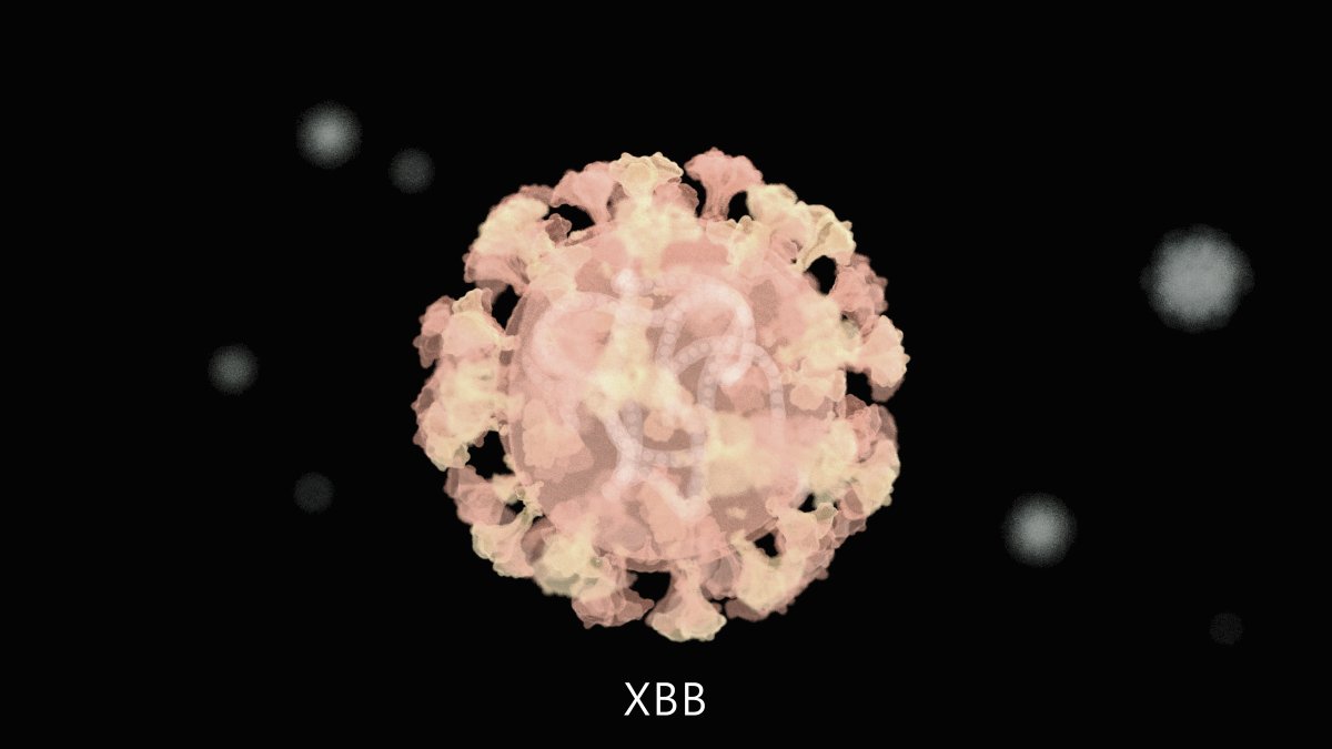 COVID Nightmare Variant XBB, New BQ.1.1 Strain Spreading Rapidly – NBC ...