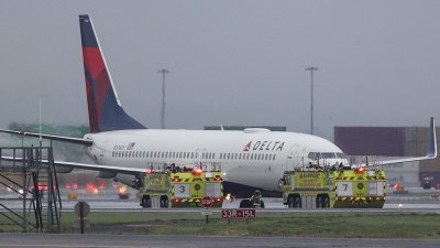 Delta Flight Returns to Logan Airport After Hitting Birds – NBC Boston
