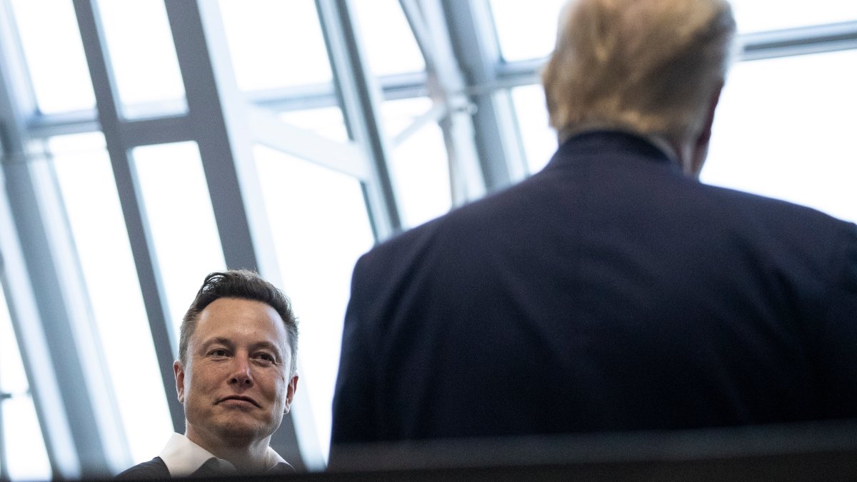 Musk Restores Trump’s Twitter Account After Online Poll – NBC Boston